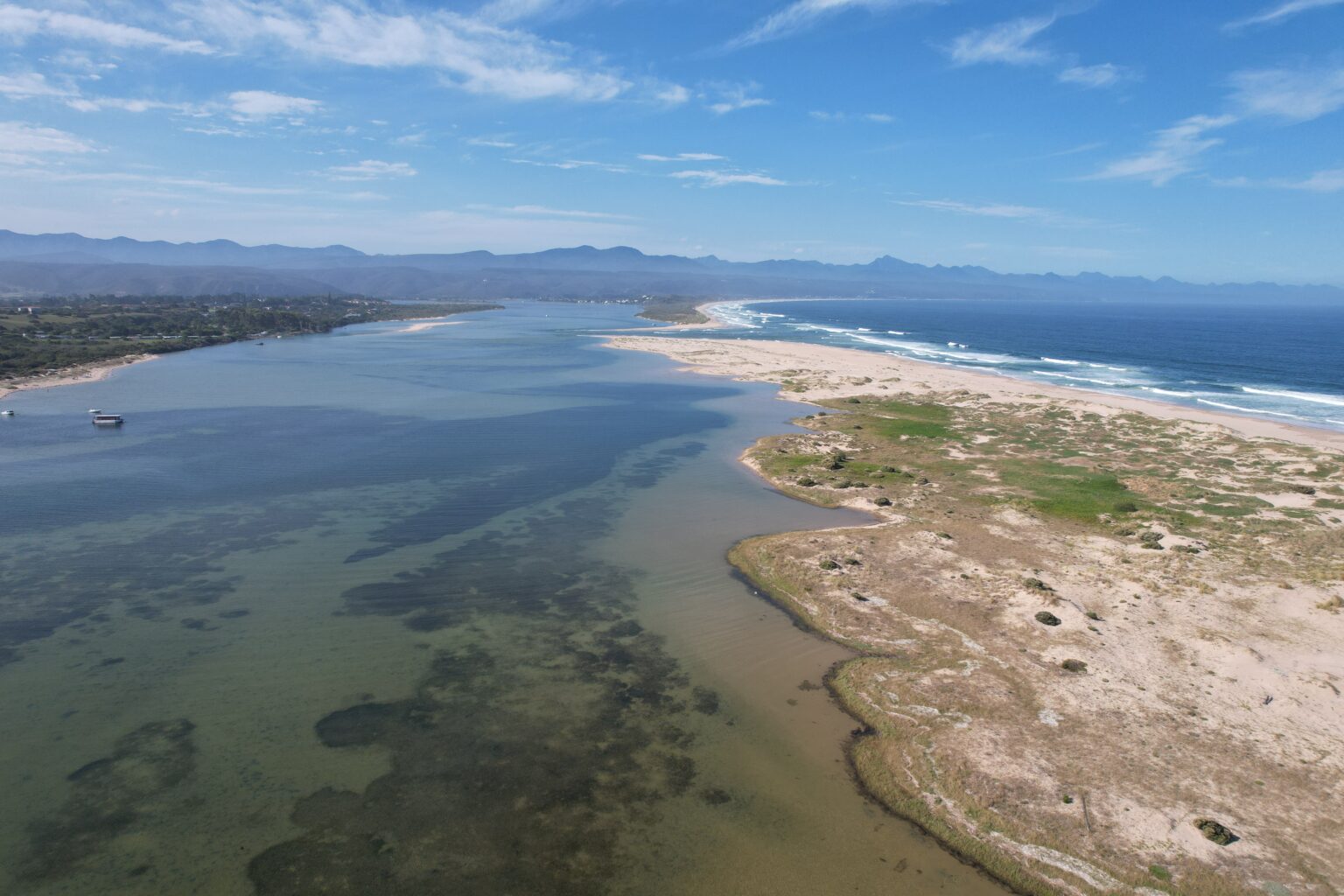 Dr Chantel Elston shows the wonders beneath the waves at Plett’s ...