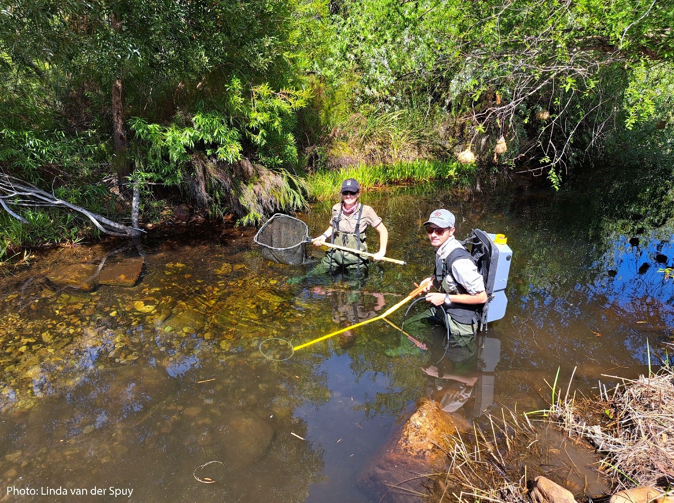 A REFRESHing journey to update knowledge on aquatic parasite species in ...