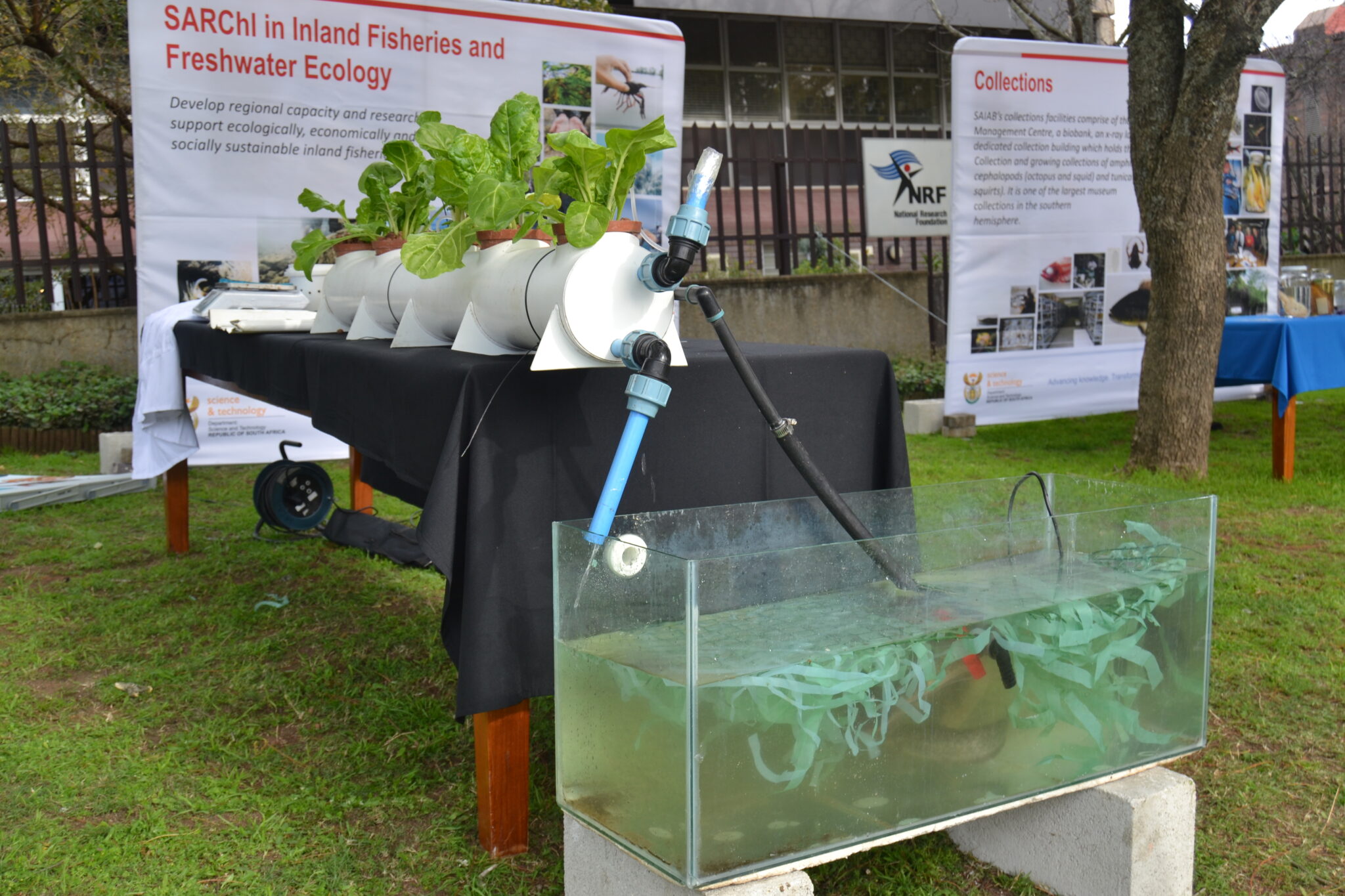 NRF-SAIAB launches pop-up ‘street’ exhibition in celebration of ...