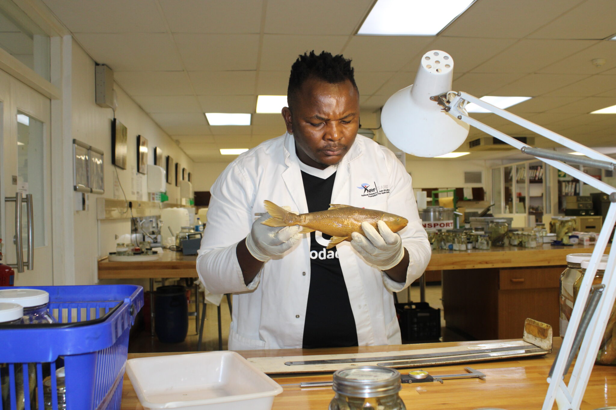 A Proud Former PhD Graduate of NRF-SAIAB Returns As A Visiting ...