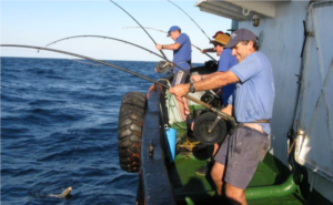 6th Southern African Marine Linefish Symposium – South African ...