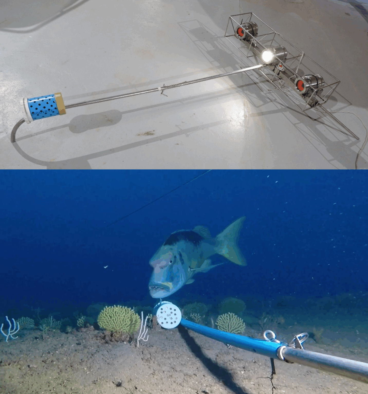 NRF-SAIAB Celebrates World MPA Day at the East London Museum – South ...